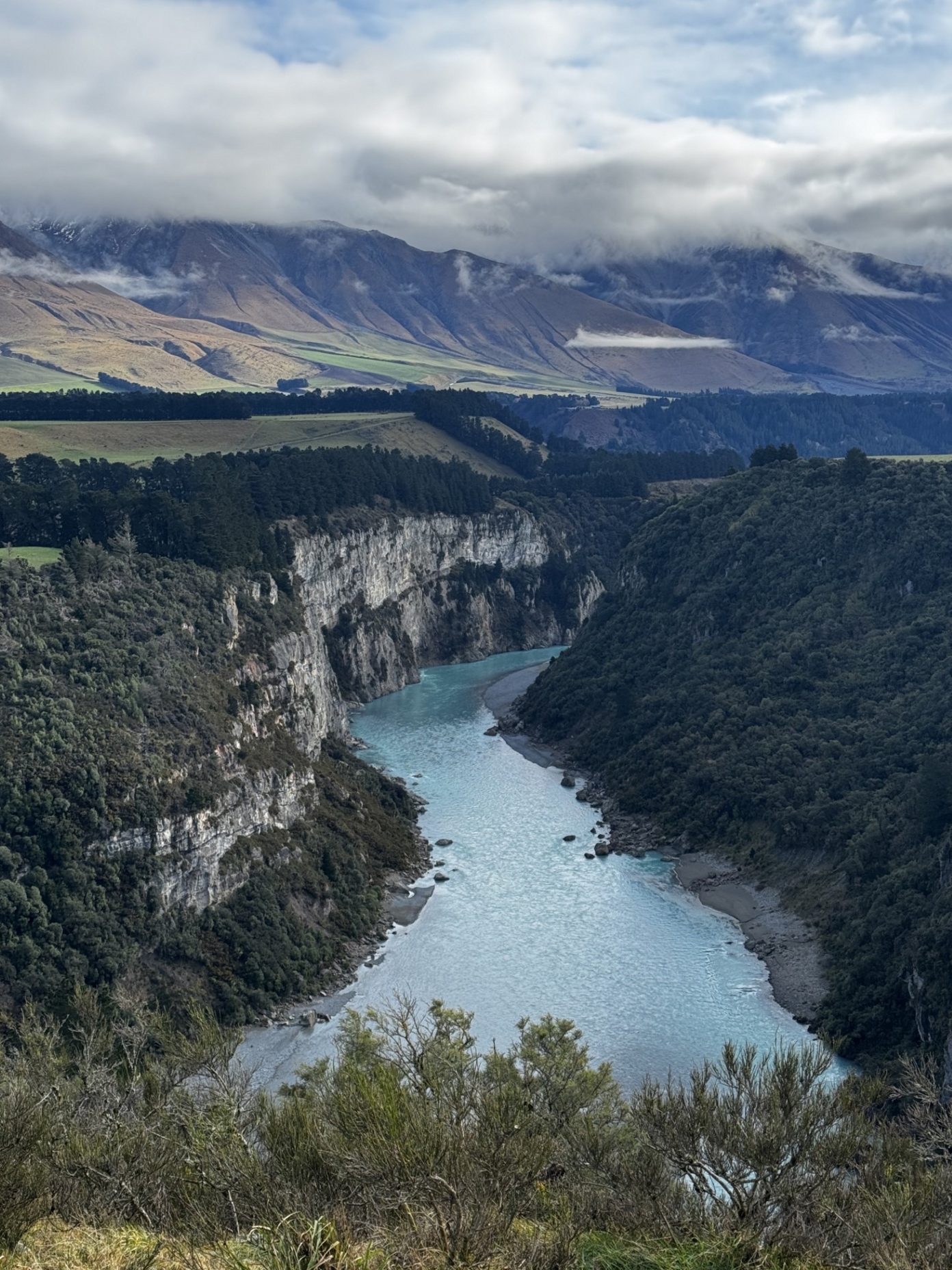 Campaign ‘well received’ | ashburtoncourier.co.nz